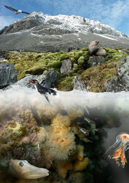 South Orkney Islands